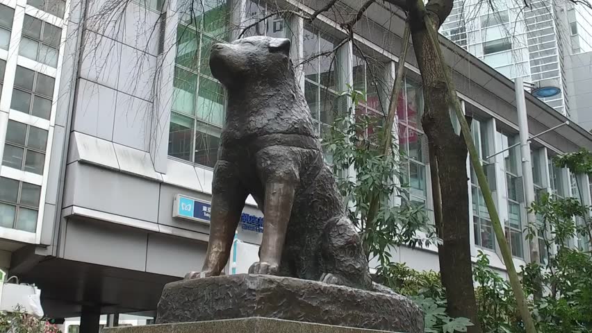 TOKYO - JULY 12: Hachiko Statue In Front Of Shibuya Station On July 12 ...