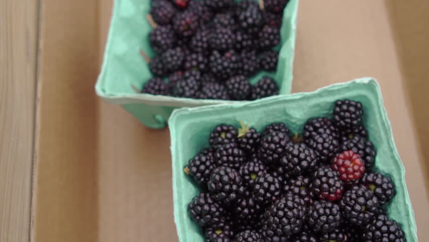 Boxes of Blackberries image - Free stock photo - Public Domain photo ...