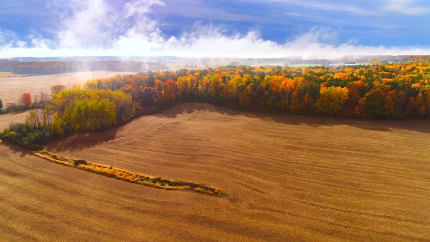 View of the trees and autumn forest in Wisconsin image - Free stock ...