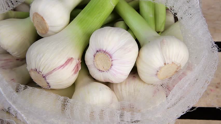 Purple Garlic Root Vegetables image - Free stock photo - Public Domain ...