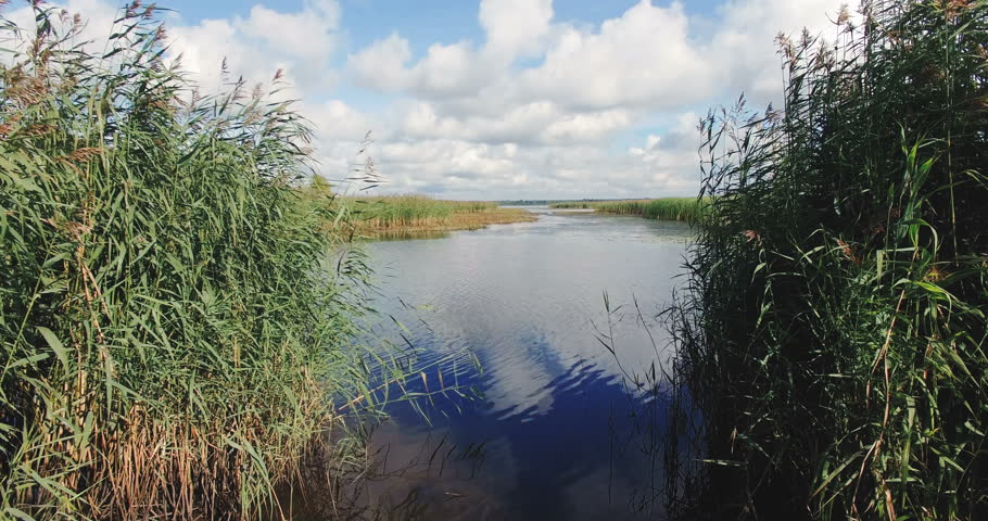 Water with reflection of clouds in the marsh image - Free stock photo ...