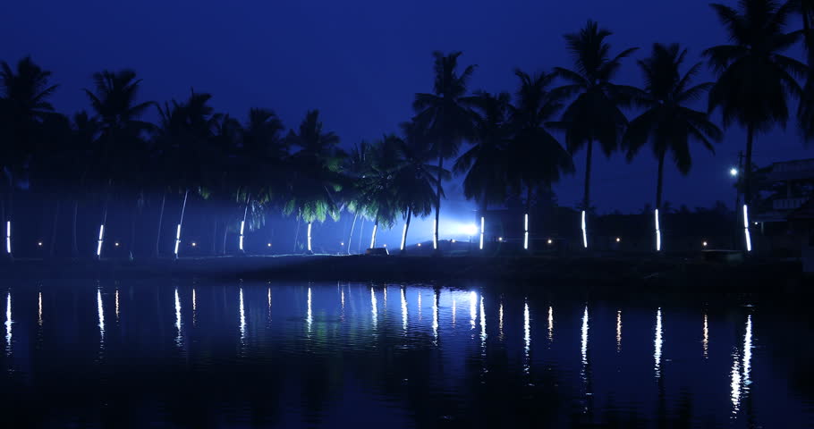 Night Coconut Trees Kerala India stock-videoer (100 % royaltyfri ...