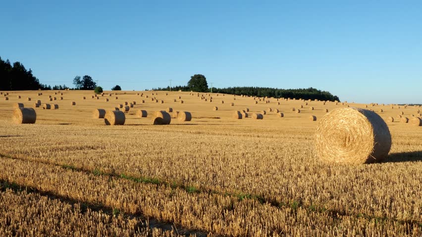 Farm landscape with fields and bales of hay image - Free stock photo ...