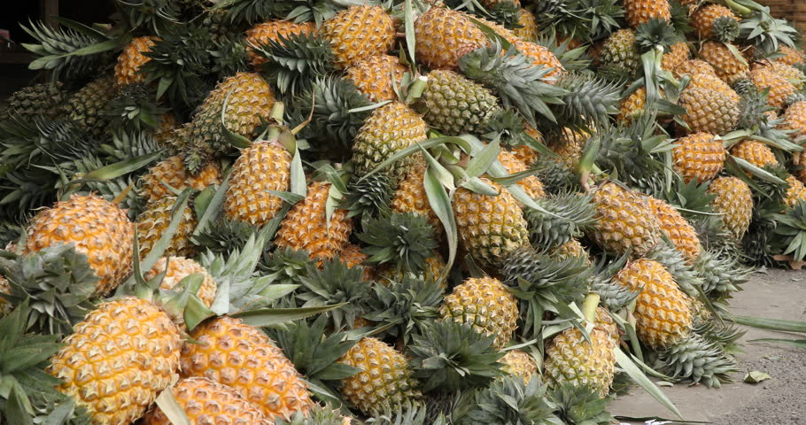 A bunch of Pineapples image - Free stock photo - Public Domain photo ...