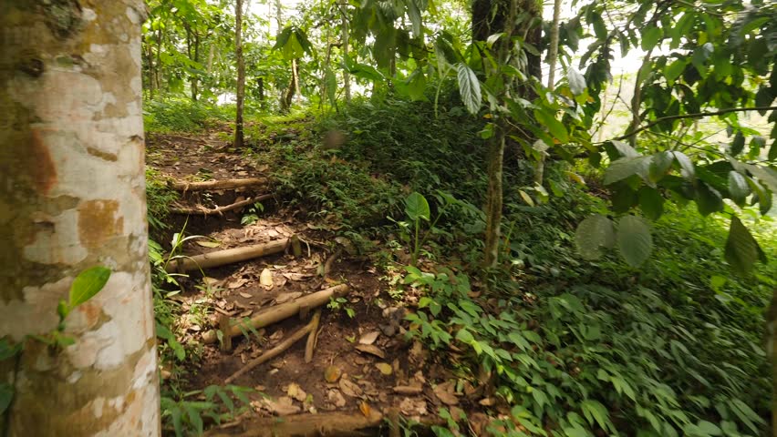 Wide Hiking Path image - Free stock photo - Public Domain photo - CC0 ...