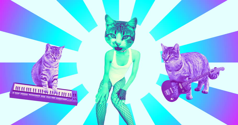 Animal Band Stock Video Footage - 4K and HD Video Clips | Shutterstock