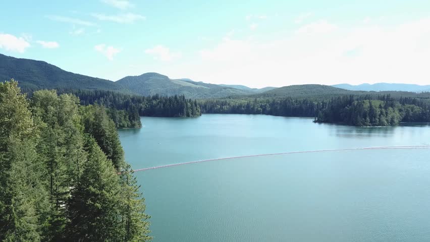 Aerial View of lake shoreline with forest image - Free stock photo ...