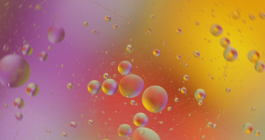 Purple and Yellow Splash of Paint image - Free stock photo - Public ...