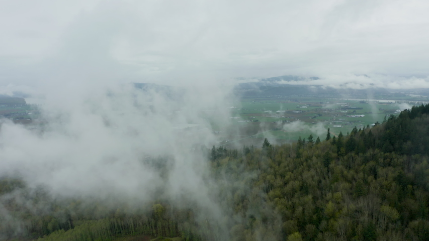 Mist over the forest and trees in Oregon image - Free stock photo ...