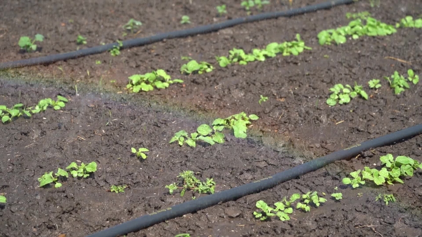 Watering device on the farm in the farm landscape image - Free stock ...