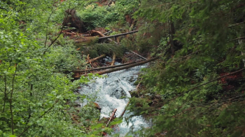 Beautiful running River Scenery image - Free stock photo - Public ...