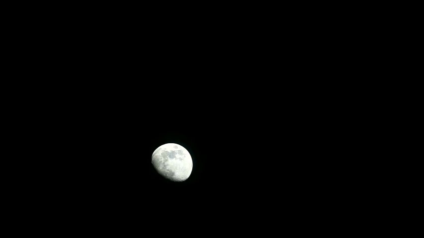Sky and night landscape with moon and birds image - Free stock photo ...