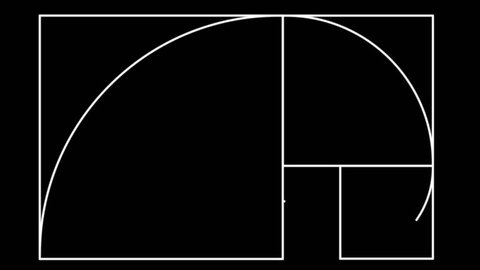 Fibonacci Stock Video Footage - 4K and HD Video Clips | Shutterstock