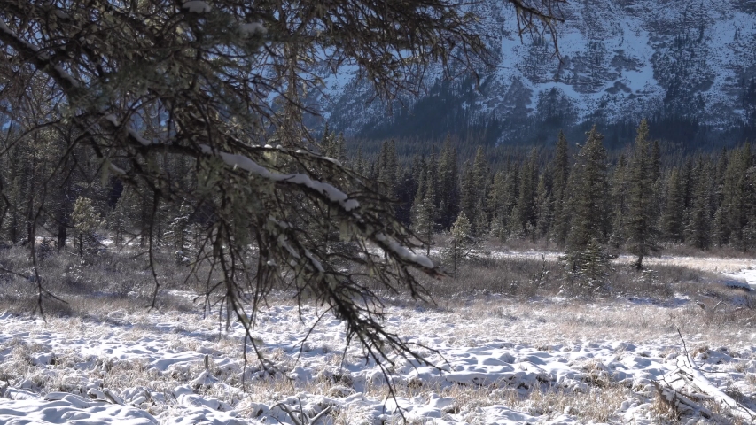 Panoramic View of the mountains and landscape in Jasper National Park ...