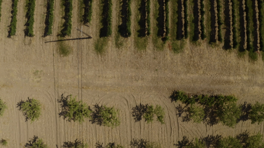 landscape view up the path up the hill image - Free stock photo ...