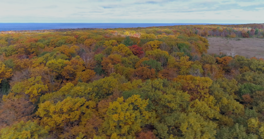 View of the trees and autumn forest in Wisconsin image - Free stock ...