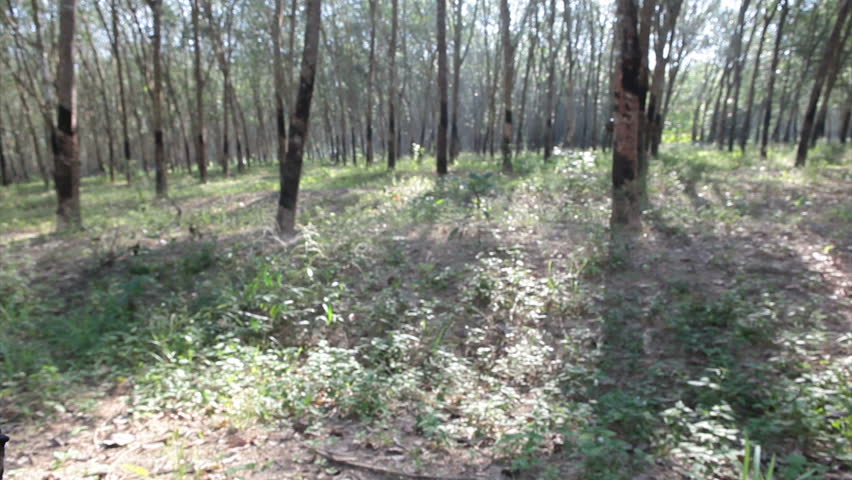 Transform Process of Rubber , Stock Footage Video (100% Royalty-free ...