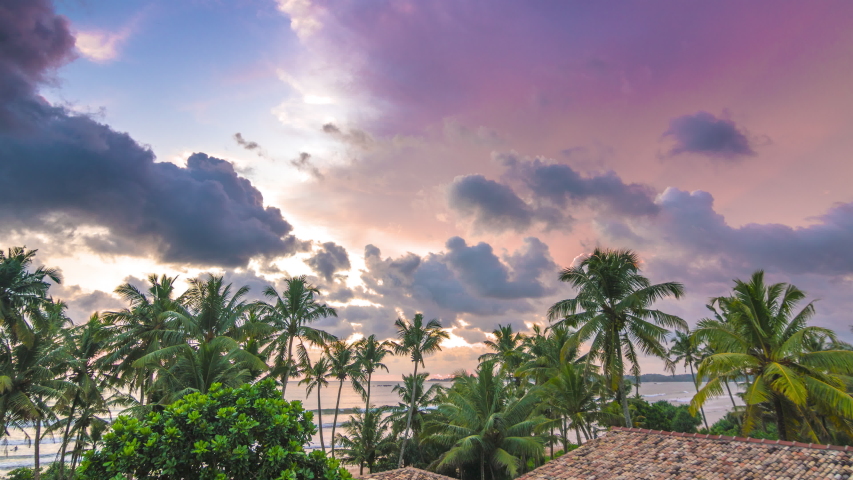 Time-Lapse landscape at dusk with water, sand, and tree image - Free ...