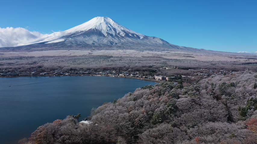 Snow-capped Mountain Peaks with Trees image - Free stock photo - Public ...