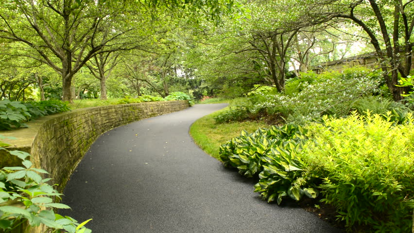Walking A Trail. Camera Viewpoint Of Someone Walking Through A Trail ...