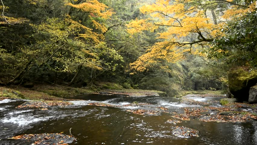 Gentle River Flowing in Autumn Stock Footage Video (100% Royalty-free ...