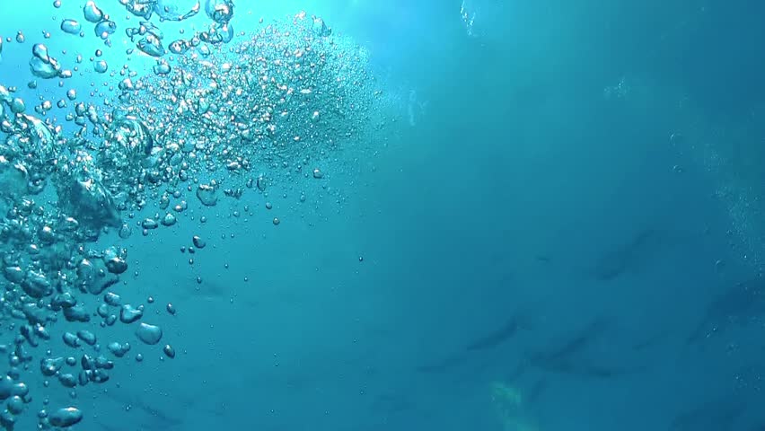 Ocean Air Bubbles Underwater
