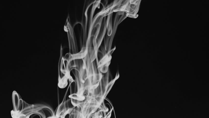 PAL - Motion 409: Abstract Fluid Forms Pulse, Ripple And Flow (Loop ...