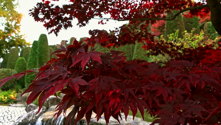 Rheinau Abbey Stock Footage Video 23665687 | Shutterstock