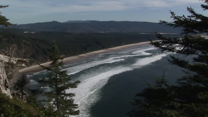 Shoreline landscape with beach and forest in Oregon image - Free stock ...