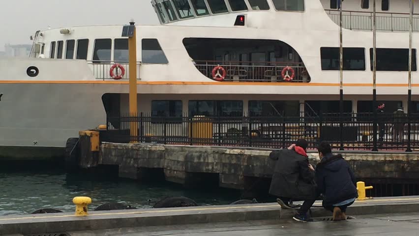 Istanbul December 2015, Türkiye. Two Vidéos de stock (100 % libres de ...