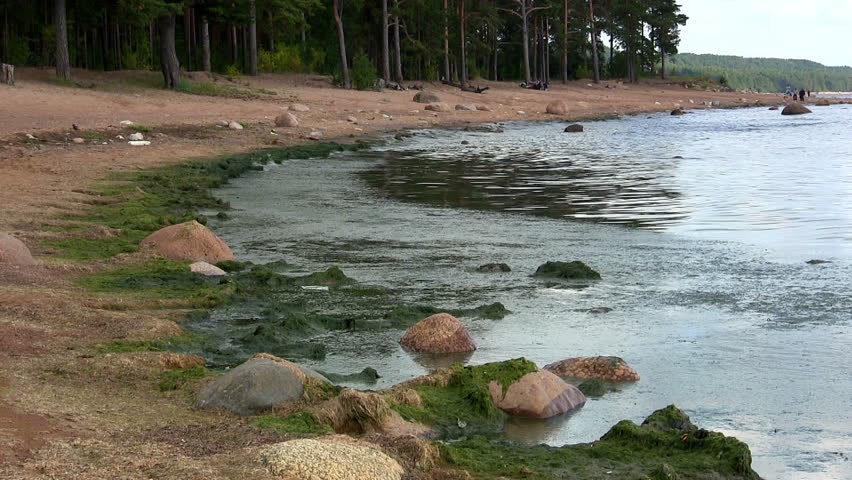 Red Cliffs With Palm Trees And Surf, A Beach In Edava Village, Near ...