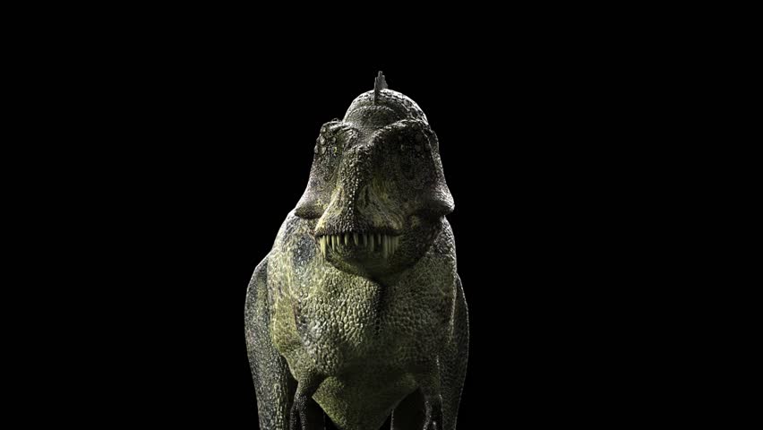 Realistic Animations of Dinosaur Tyrannosaurus Stock Footage Video (100 ...