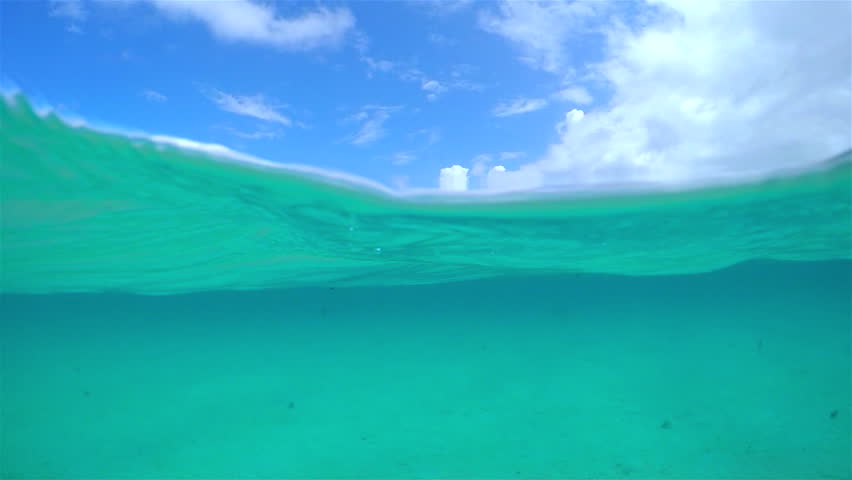 Stock video of slow motion split half underwater close | 14617168 ...