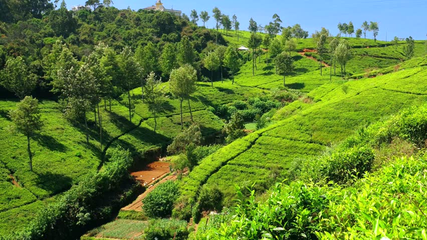 Time-lapse Of A Terraced, Cultivated Hillside In Nepal. The Light On ...