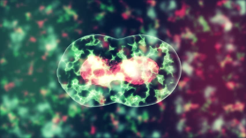 Cell Division, Generic Cell Dividing Stock Footage Video (100% Royalty ...