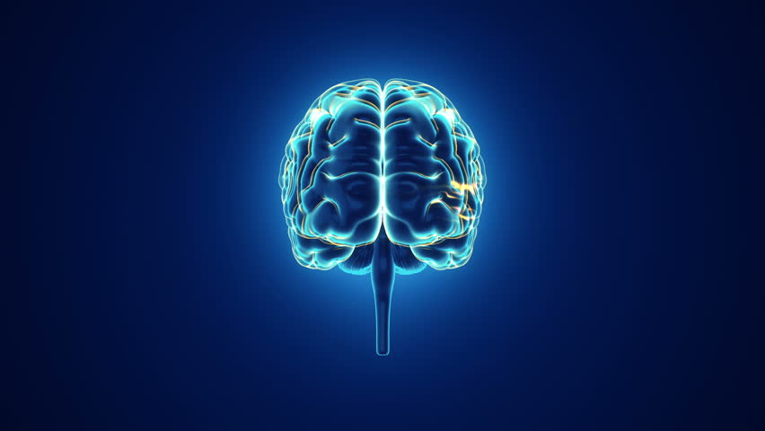 Digital Animation Of Brain Spinning On Blue Background Stock Footage ...