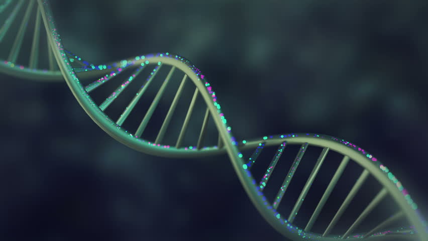 Animation Of Genetic DNA. Loop-able 4K Stock Footage Video 23023843 ...