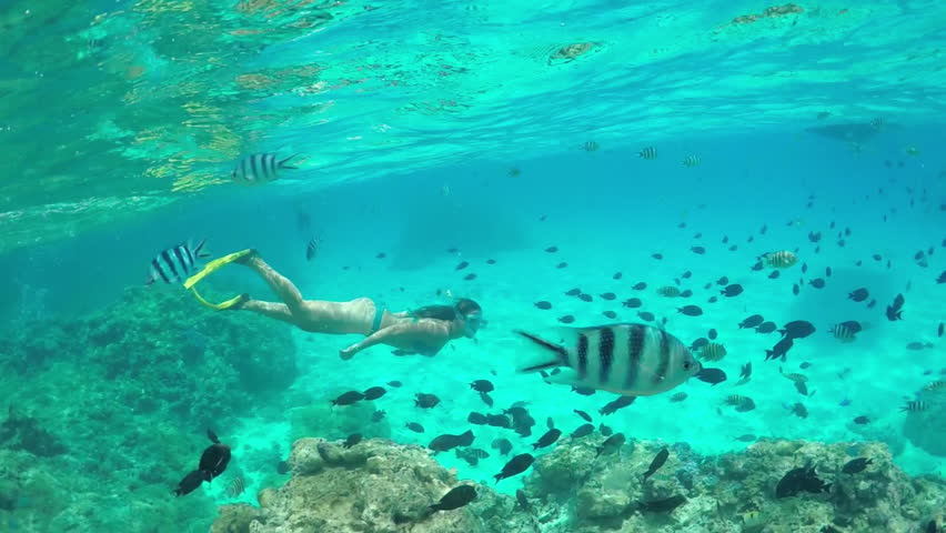 Young Couple Are Swimming Towards Each Other In The Red Sea Near Coral ...