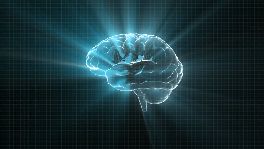 Brain Activity, 3D Animated "human" Brain Stock Footage Video 28596 ...