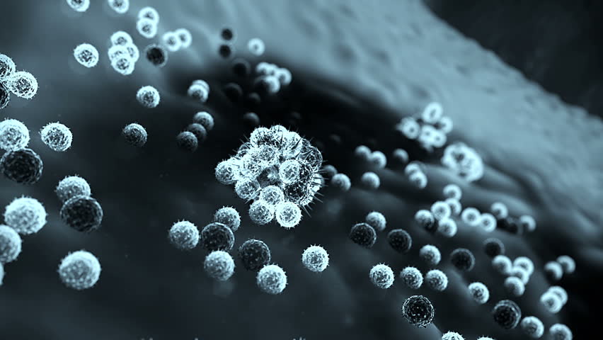 Lymphocytes Against Viruses, Group Of Lymphocytes, Macrophage And Virus ...