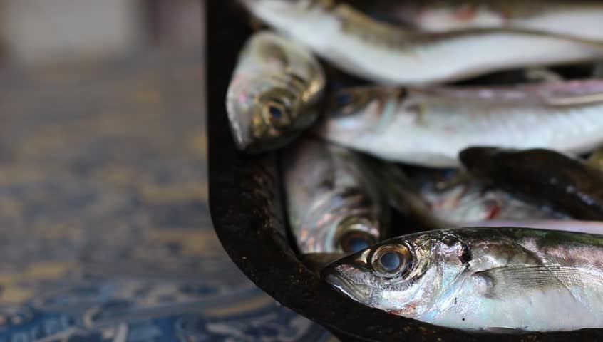 Jack Mackerels (Aji). Detail Of Fresh Fish For Sale At A Market Záběr ...