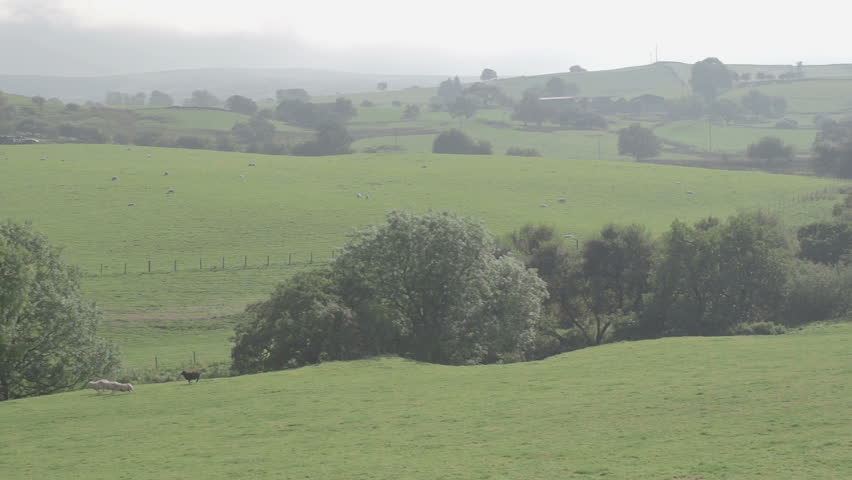 A Shot Of The Beautiful Welsh Countryside Shot On A Sunny Summer/Autumn ...