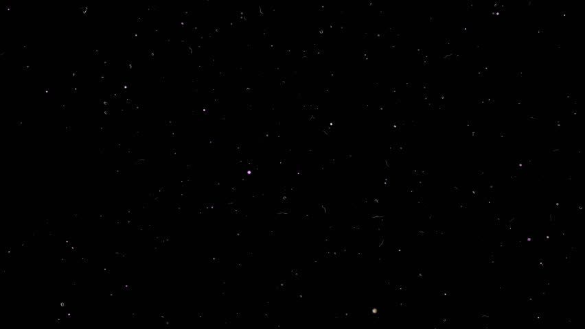 Dust Particles Flowing In Bright Light From Left To Right, Black ...