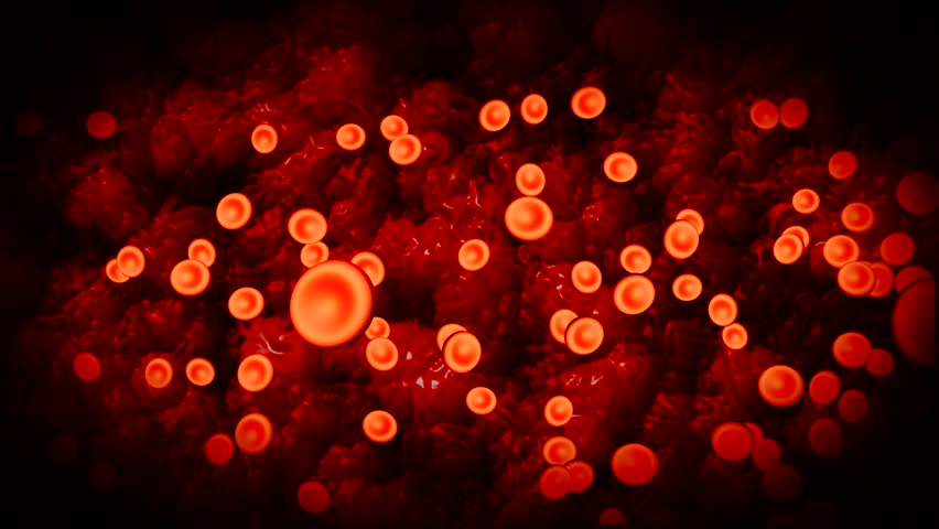 Red Blood Cells Travel Through Stock Footage Video (100% Royalty-free ...