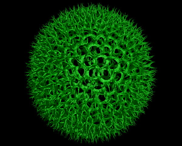 Virus (computer Generated Animation Seamless Stock Footage Video (100% ...