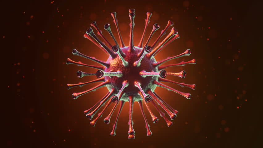 Animation Of Bacteria Virus Or Germs Microorganism Cell Under ...