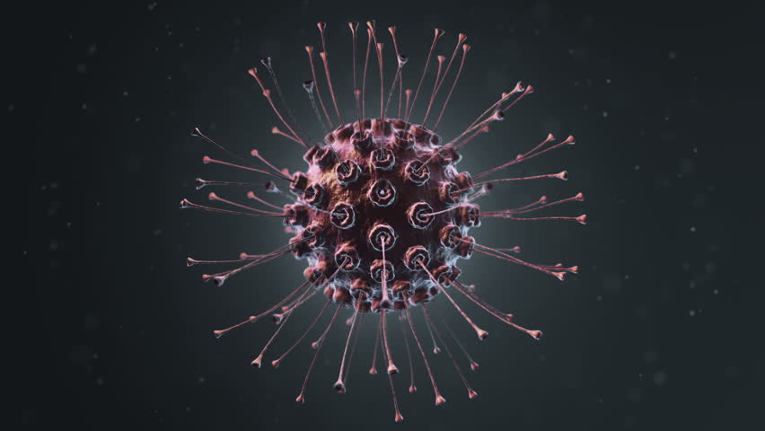 Animation Of Bacteria Virus Or Germs Microorganism Cell Under ...