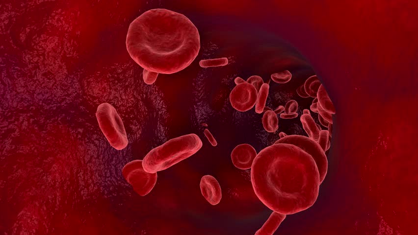 3d Looping Animation of Blood Stock Footage Video (100% Royalty-free ...