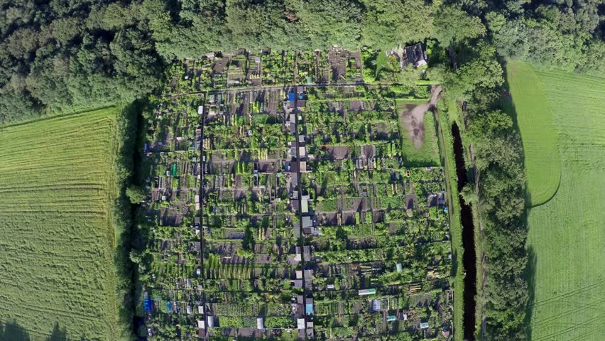 Aerial Of Community Gardens Or Allotments Showing Top Down View Of ...