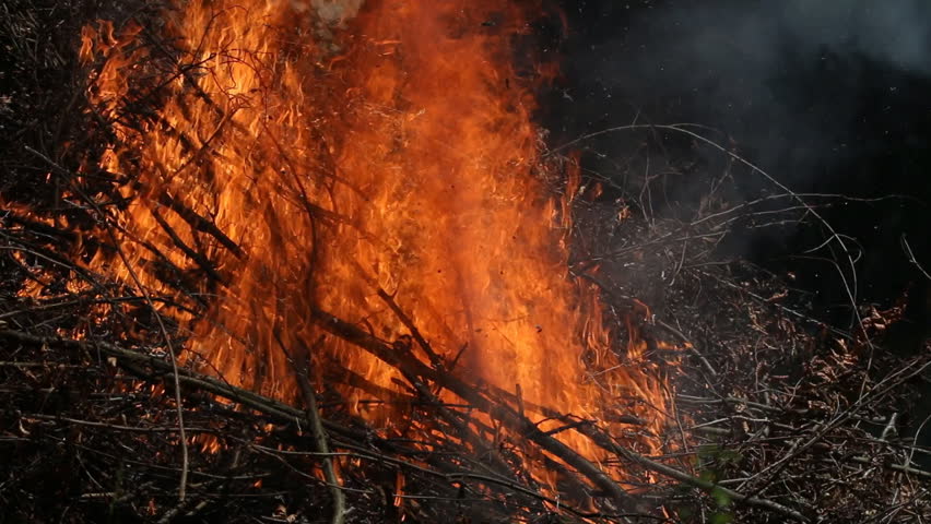 Stock video of burning fire | 17973478 | Shutterstock